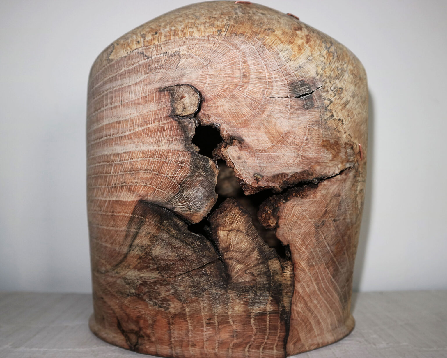 A person who reveals the instinct of a tree • BE(ATTITUDE)