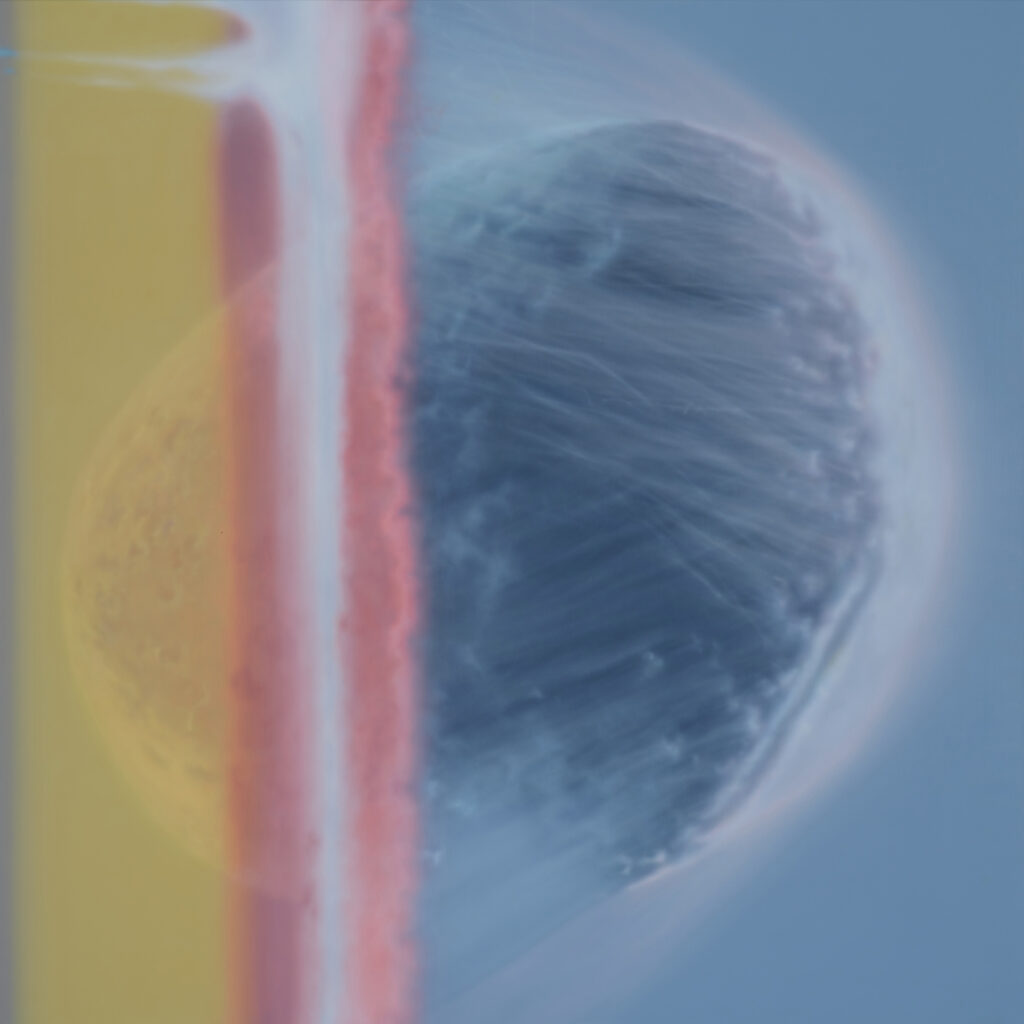 창작은 직업이 아니라 역할 • BE(ATTITUDE)